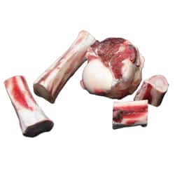 Ground Pancreas - K-9 Kraving